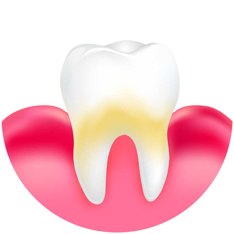 Herbal Toothpaste - Edible Toothpaste | Edinora