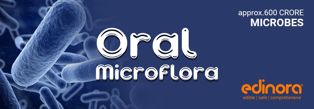 Edinora: An oral microbiota-friendly toothpaste | Edinora Herbal Toothpaste
